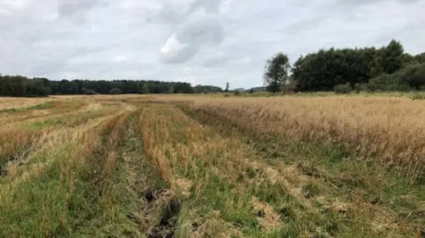 Climate Lowland Project Lindum Enge - LIFE IP Natureman - landmanden ...